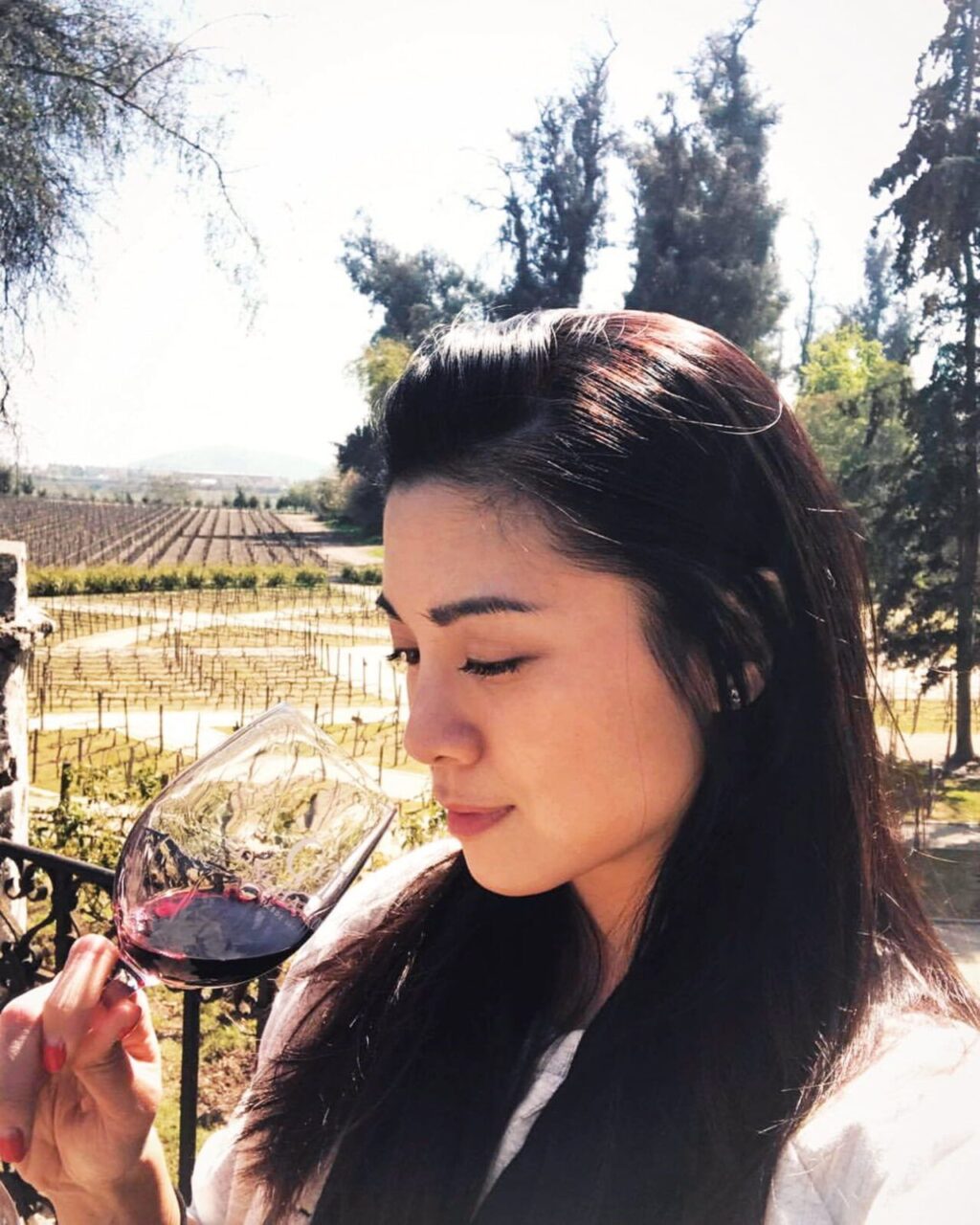 The Beauties and Mellow Wines Bernice Liu × Rebecca Leung – Wine Maven